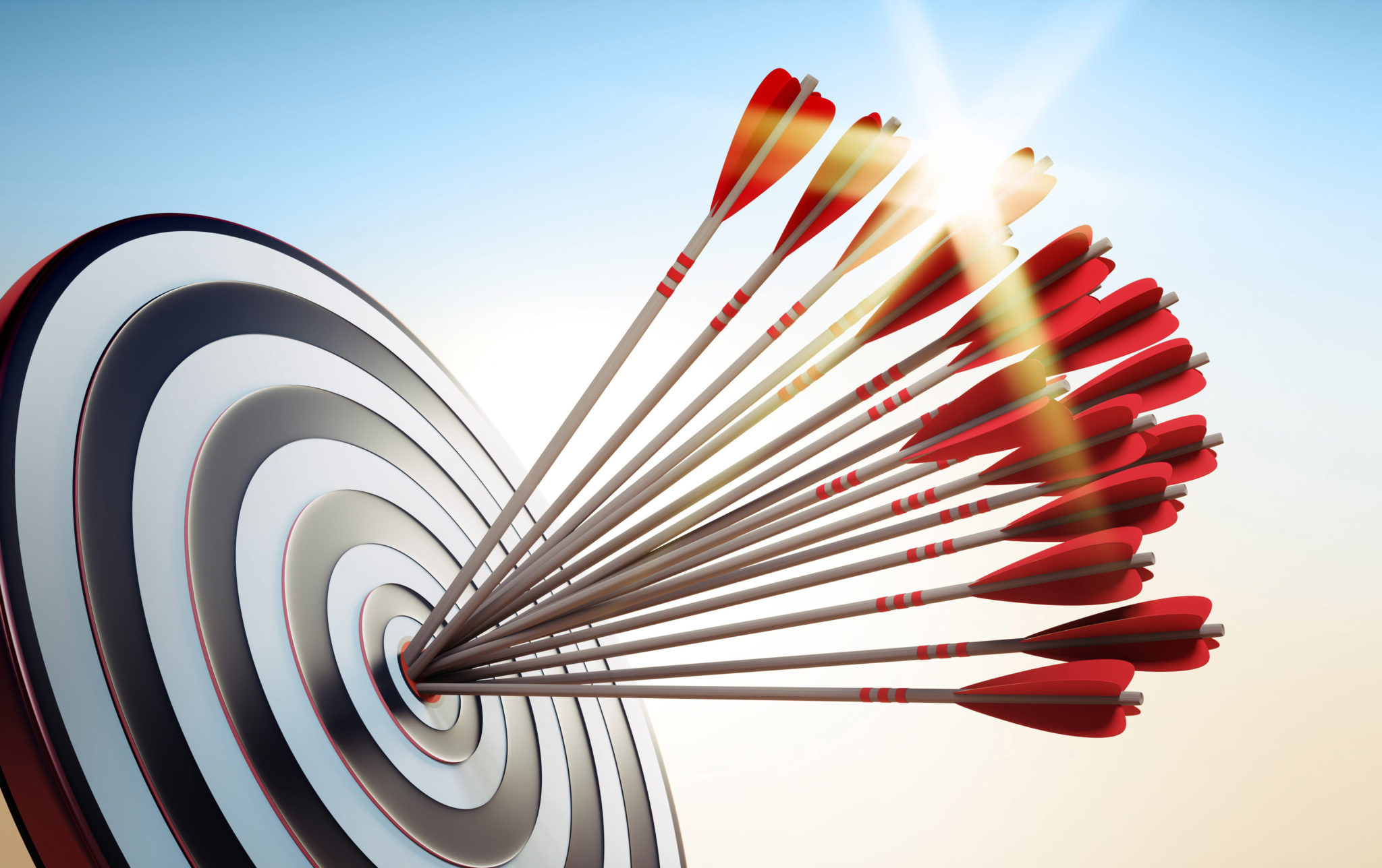 Focus on Business Excellence! How A Mid-size Environmental Firm ...